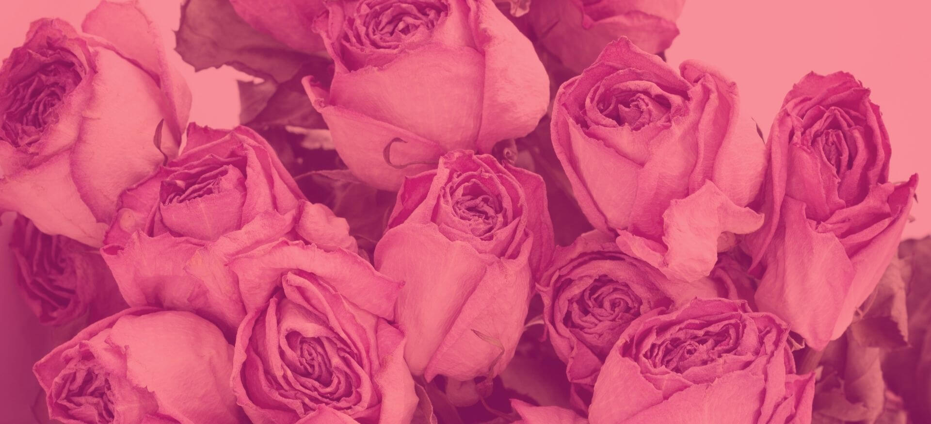 Rose Ritual - Seven Chakras Boutique Spa